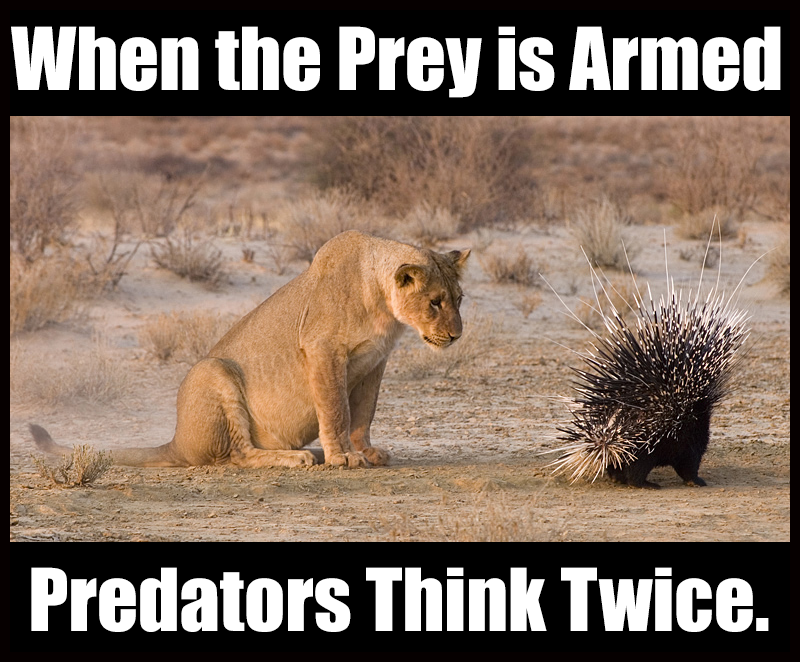 Be Safe out There! | MrZip66